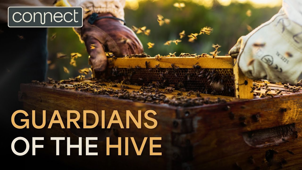 Simply Bee - Ethical Beekeeping - YouTube