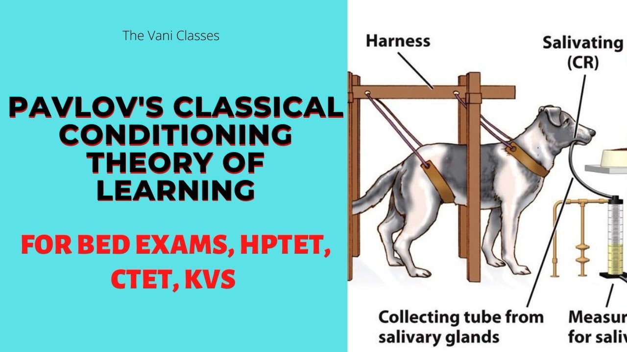 Classical Conditioning | Stages | Experiment | Principles | BEd Exams ...
