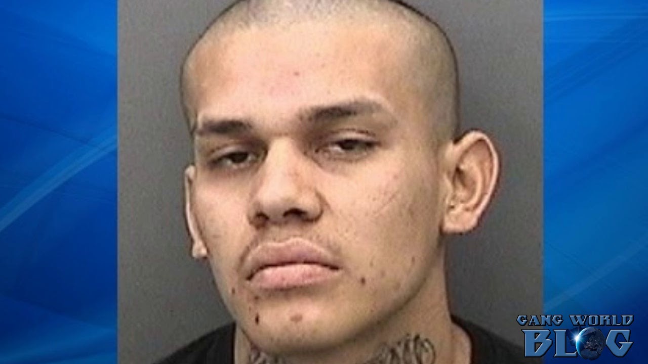 MS-13 gang member with AK-47 arrested in Wimauma (Florida) - YouTube