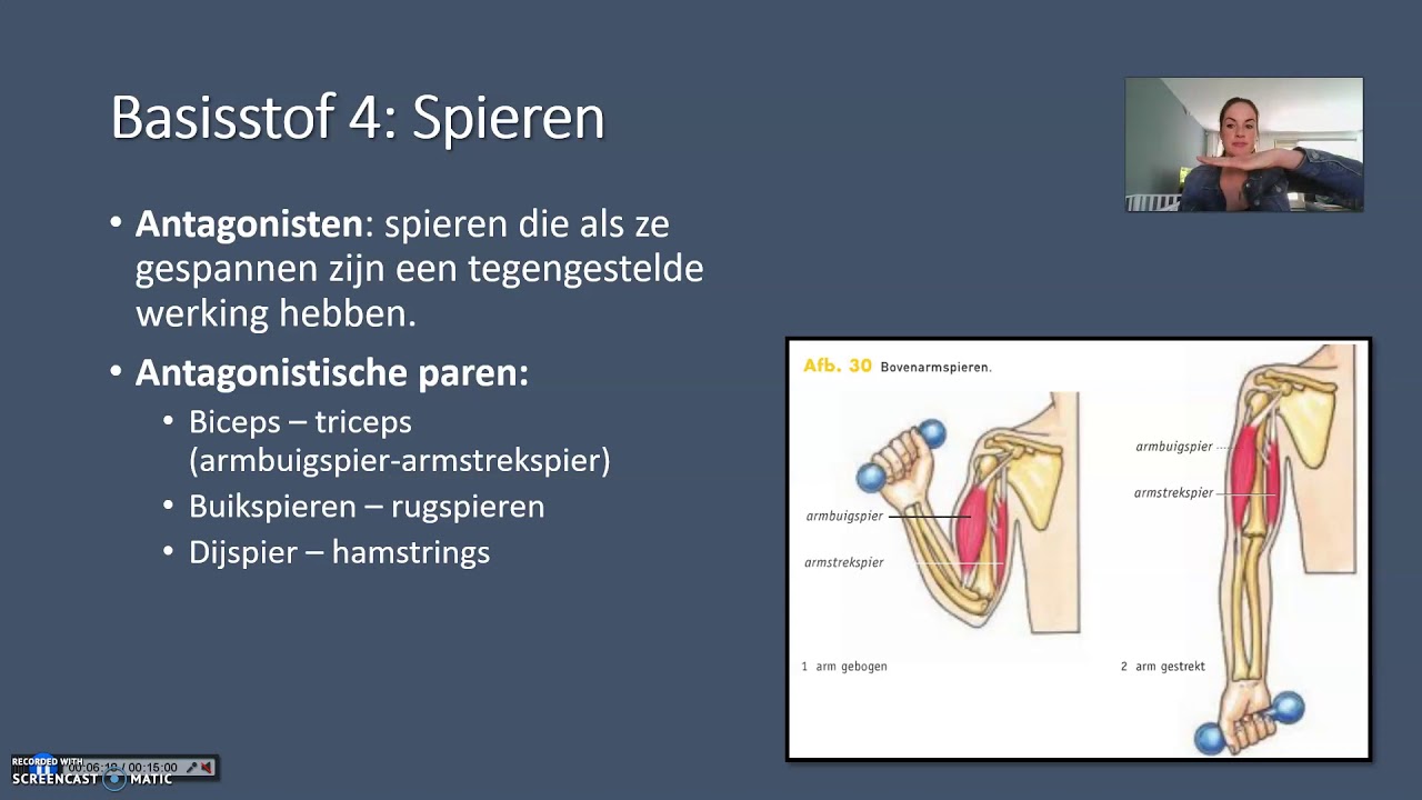 Thema 4 Stevigheid en Beweging - Basisstof 4: Spieren - YouTube