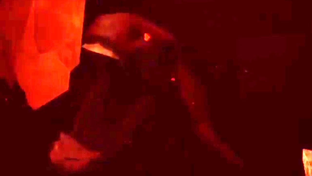 Funny Fish Glub Glub Horror Game - YouTube