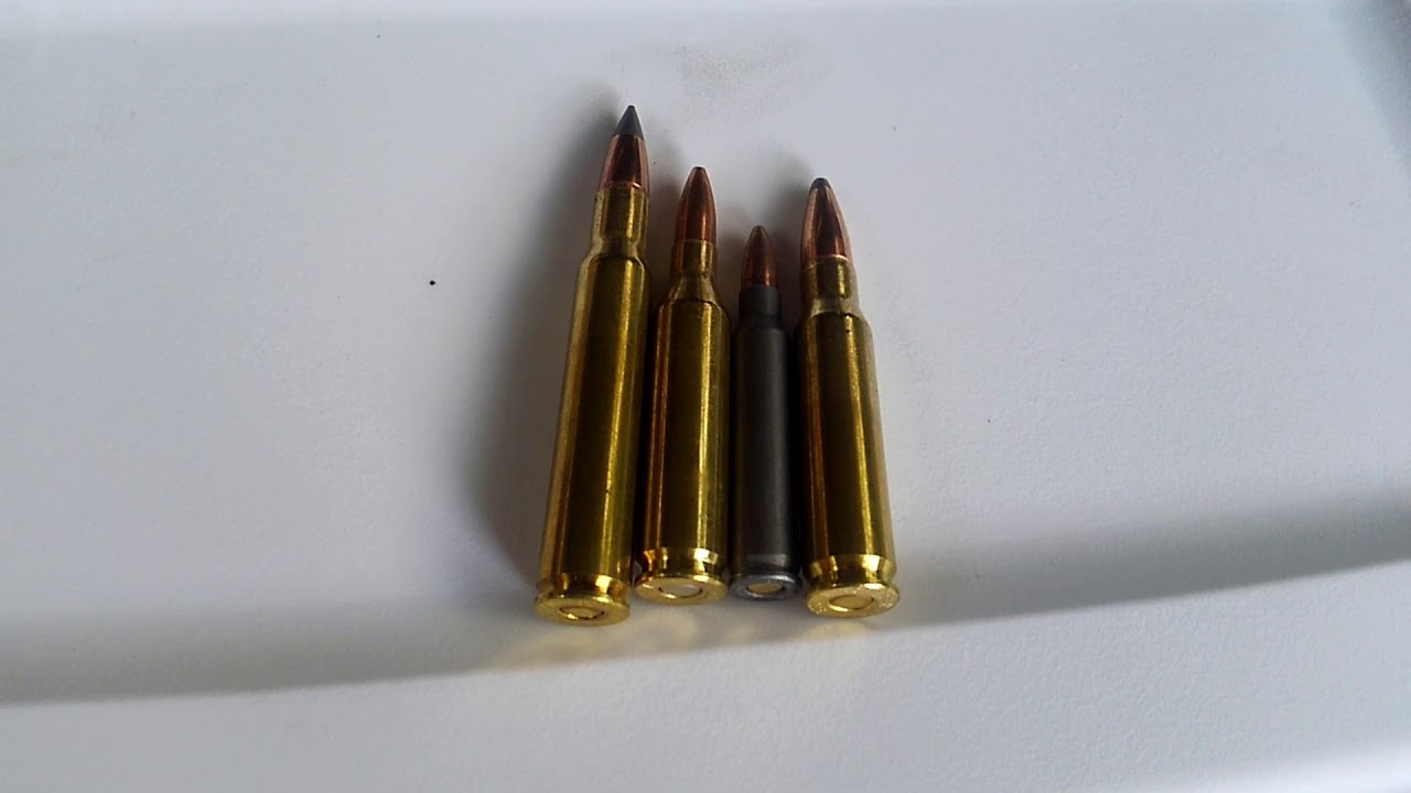 223 OH No! The biggest most deadly caliber in the world....righttttt ...