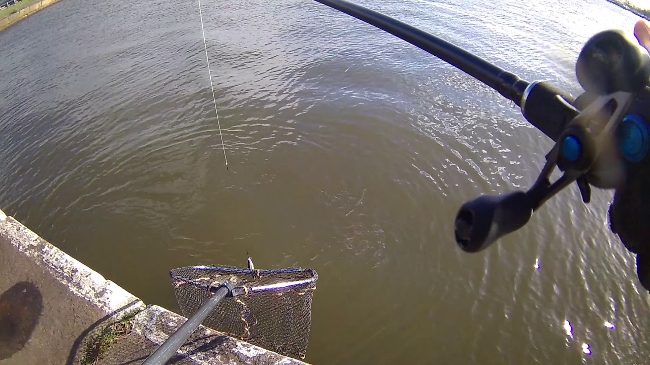 Pike smacks Rapala super shad rap - YouTube