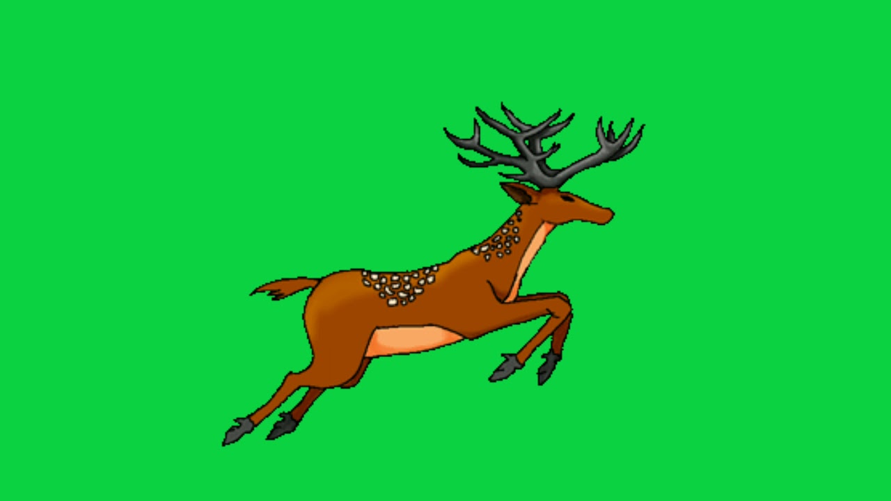 running deer animated green screen video. - YouTube