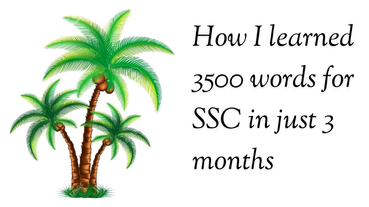 How To Improve Vocabulary The Best Method How I Learned 3500 Words In Just 3 Months True how-to-improve-vocabulary-the-best-method-how-i-learned-3500-words-in-just-3-months-true