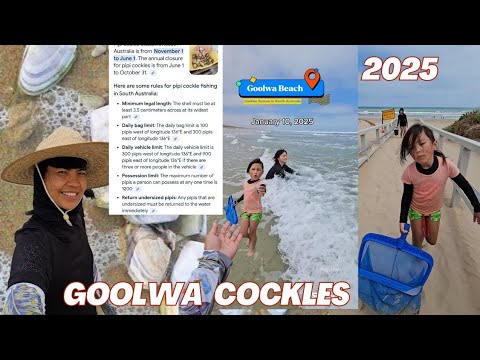 Cockles at Goolwa Beach #2025 | Pipi | South Australia - YouTube