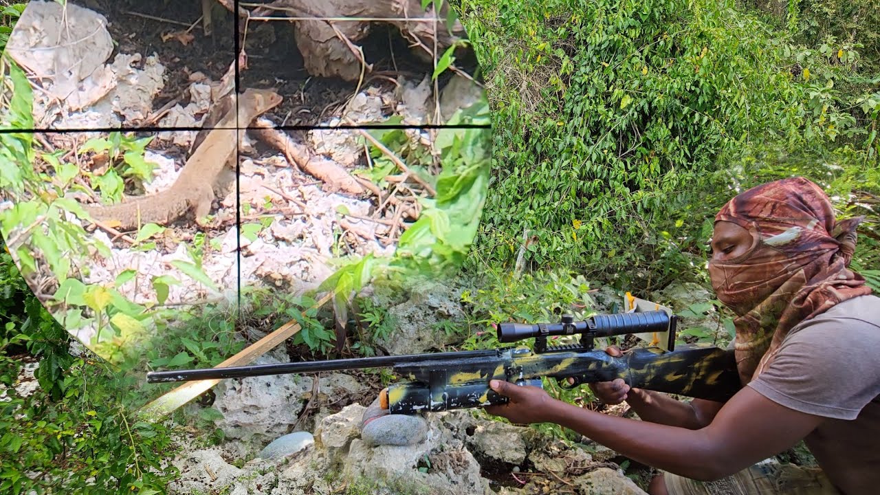 Sighting In My Scope For Another Pest Control - YouTube