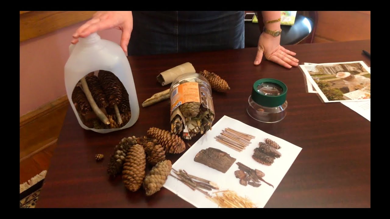 Children's Activity: Make a Bug Motel - YouTube