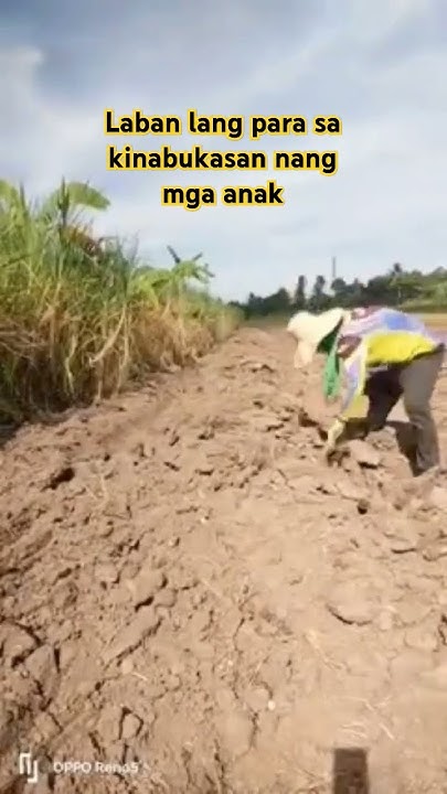 Buhay probensya #ctto #music #nature #farming #agriculture #simplengbuhayprobinsya #garden - YouTube