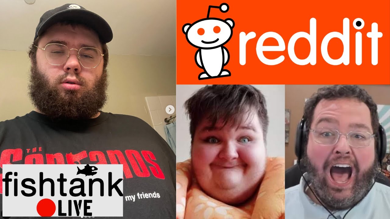 Frank Hassle Joins Fish Tank (He Has a Hammer) - Reddit Attacks ...