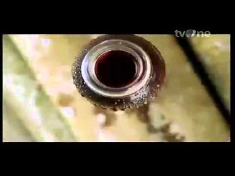 Iklan Teh Pucuk Harum - Ulat ambil Pucuk Teh