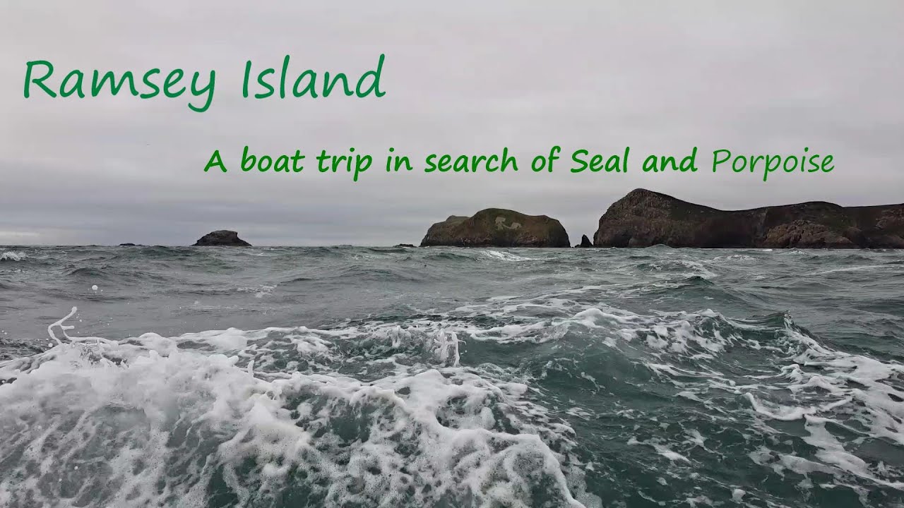 Ramsey Island RHIB Boat Trip - YouTube