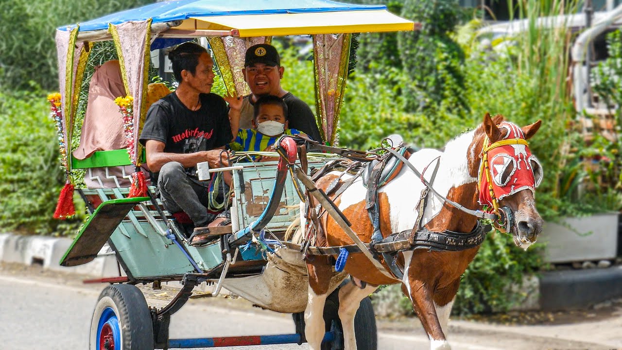 NAIK DELMAN ISTIMEWA - LAGU ANAK POPULER - YouTube