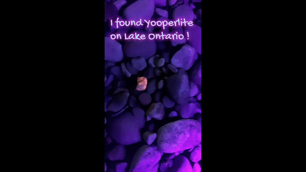 I Found Yooperlite On Lake Ontario in NY !! Rock hounding NY !! - YouTube
