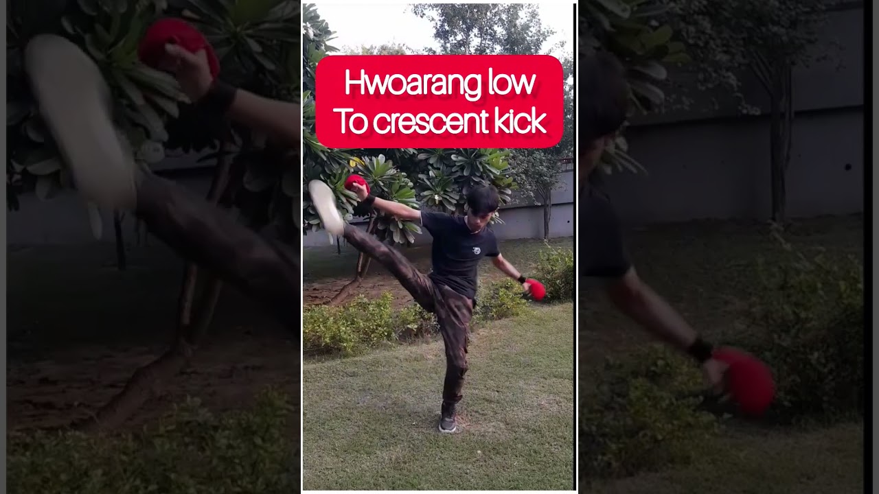 Hwoarang low To crescent kick in real life ️ - YouTube