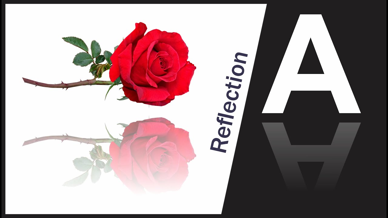 How to make text or image reflection || Coreldraw tutorial - YouTube