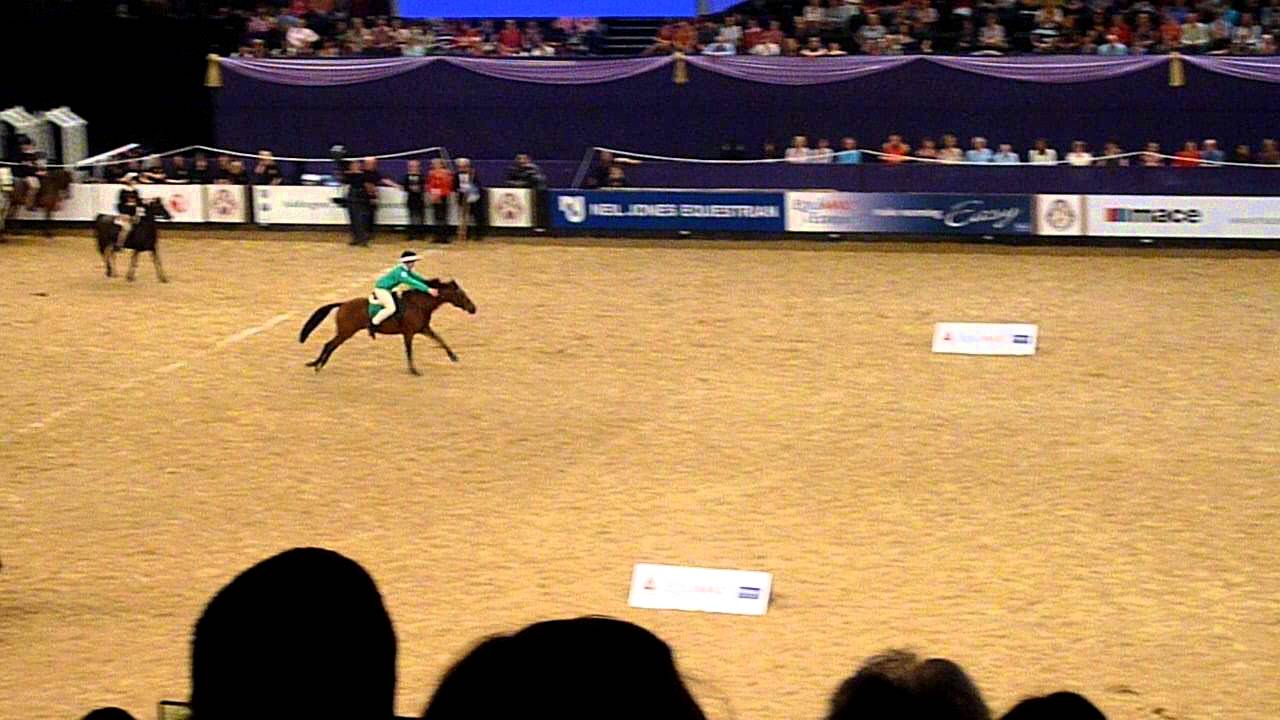 Pony club games at HOYS 2011 - YouTube