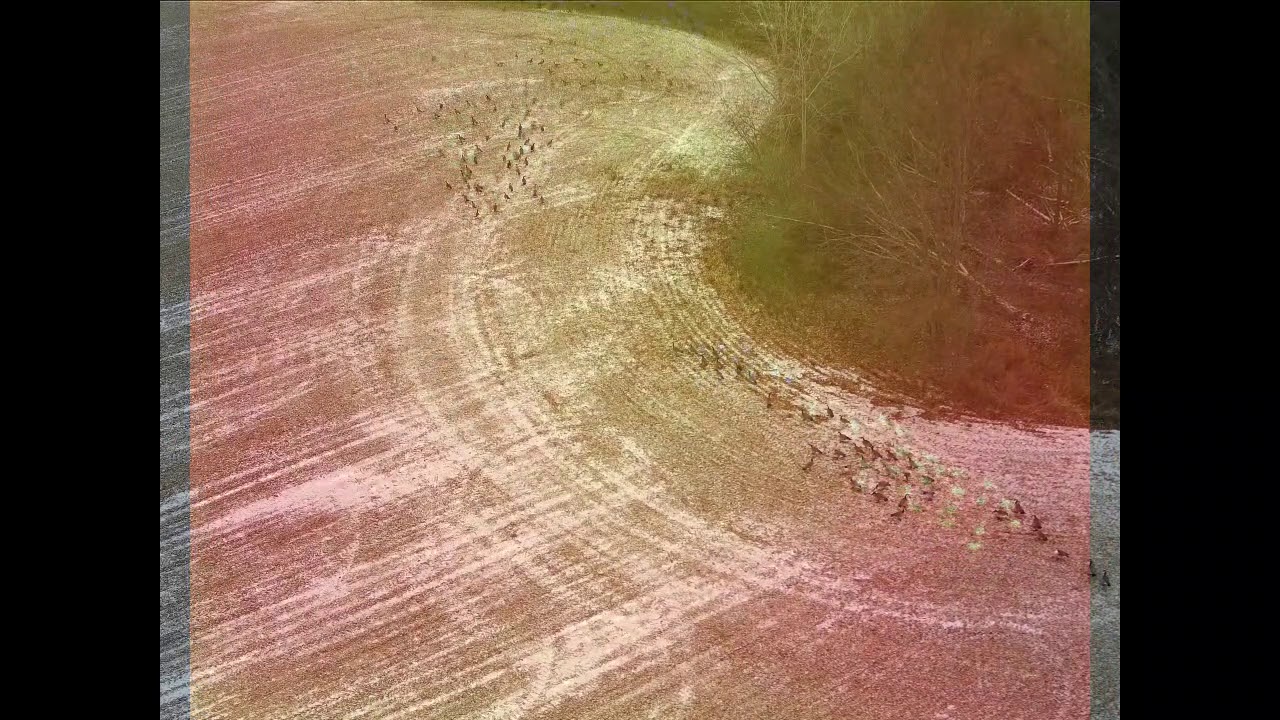 Test of the Flir XT2 - YouTube