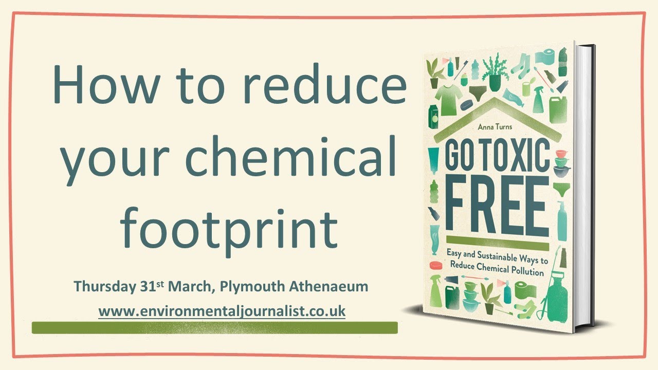Go Toxic Free: Easy and Sustainable Ways to Reduce Chemical Pollution ...