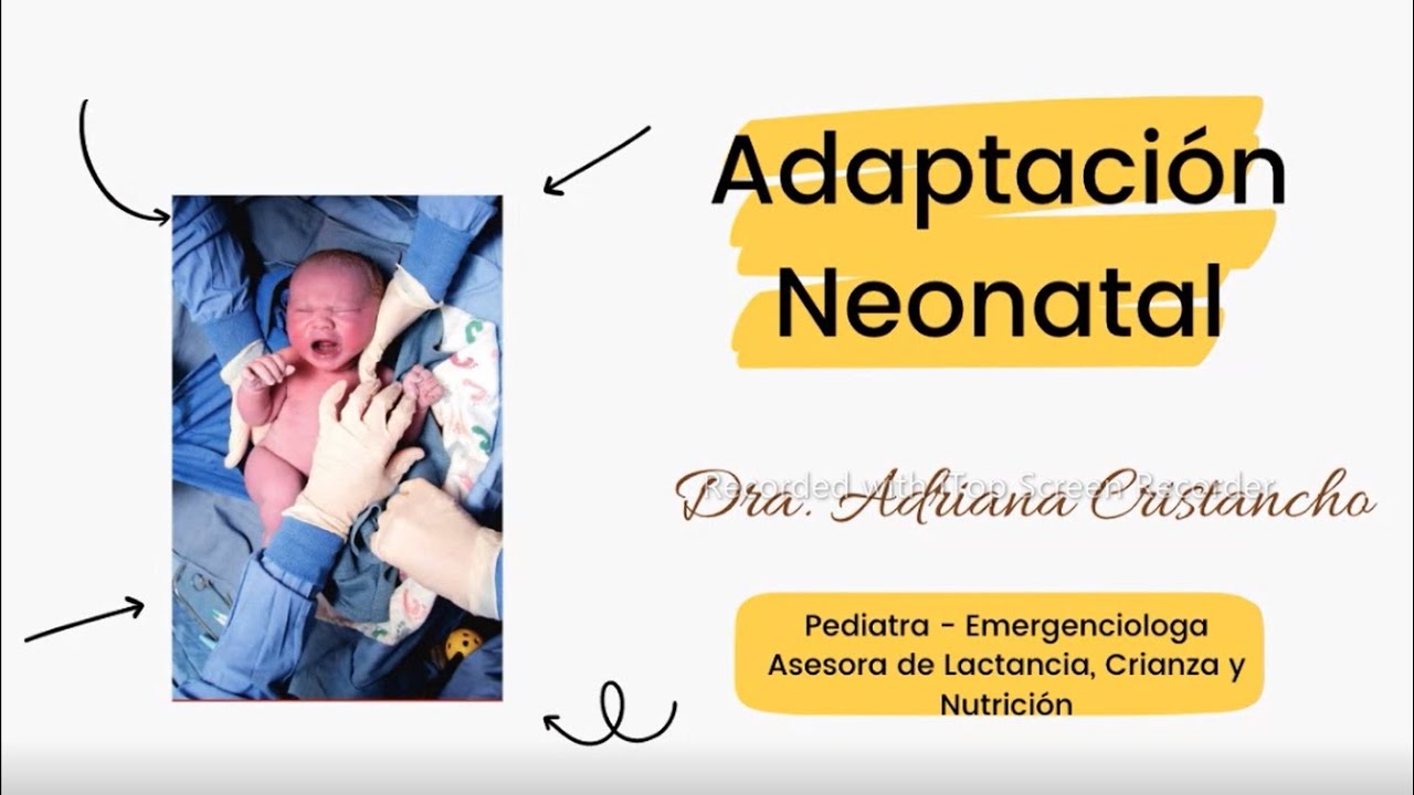 ADAPTACIÓN NEONATAL - DRA. ADRIANA CRISTANCHO - YouTube