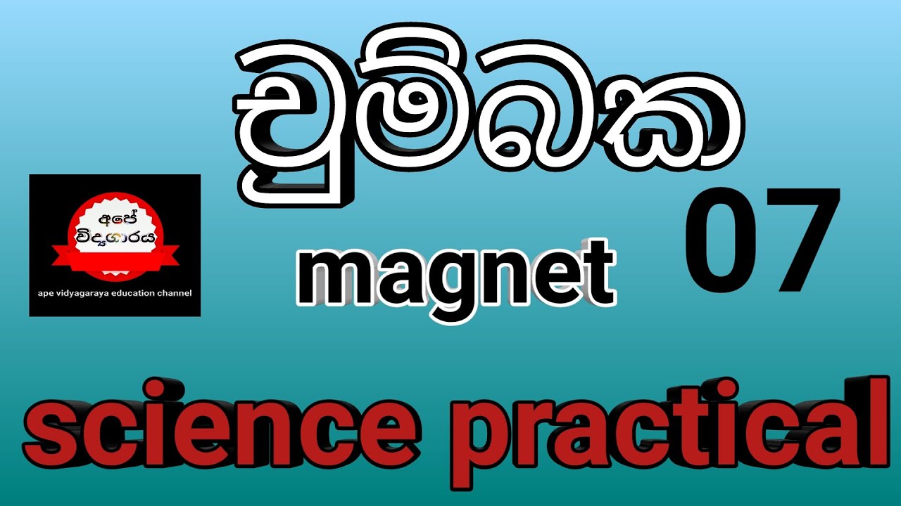 6 ශ්‍රේණිය විද්‍යාව ප්‍රායෝගික පරික්ෂණ | චුම්බක බල පැතිරිම Great -6 ...