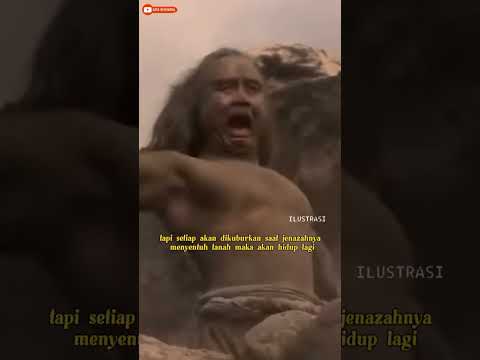 Ilmu Rawarontek Dari Patih Djojodigdo