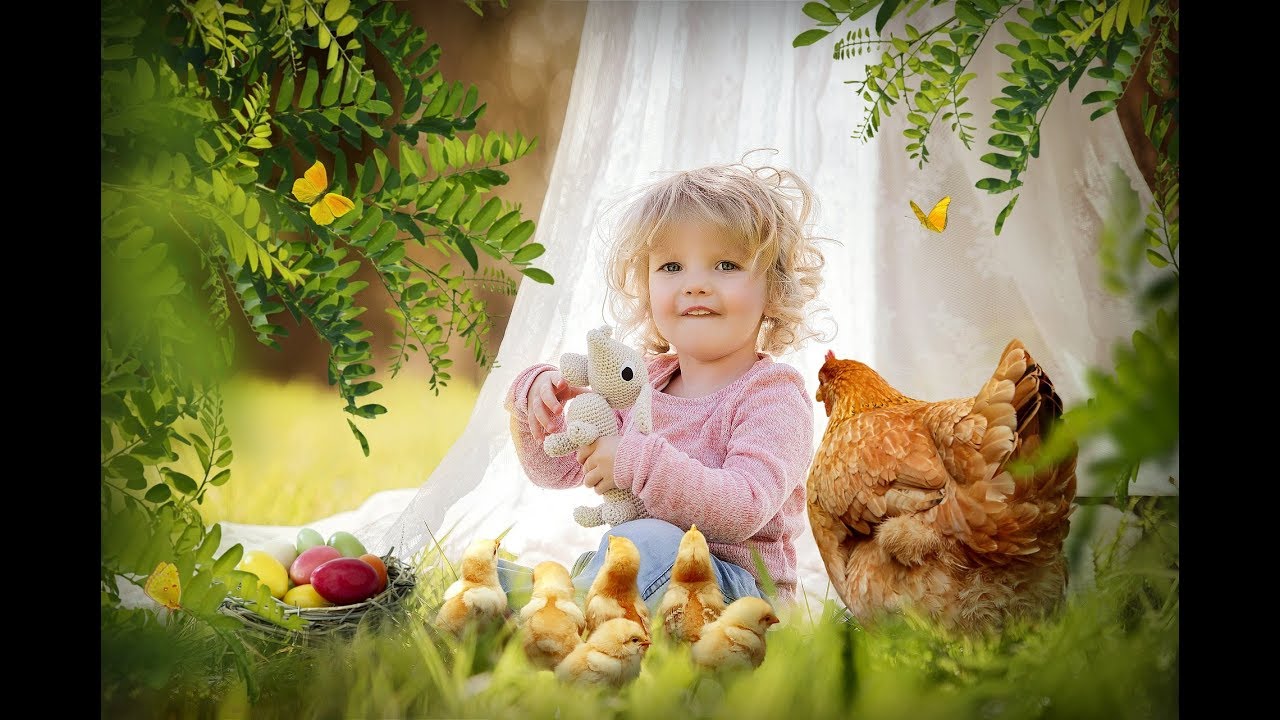 Why We Love Chickens By The Lake On Youtube! - YouTube