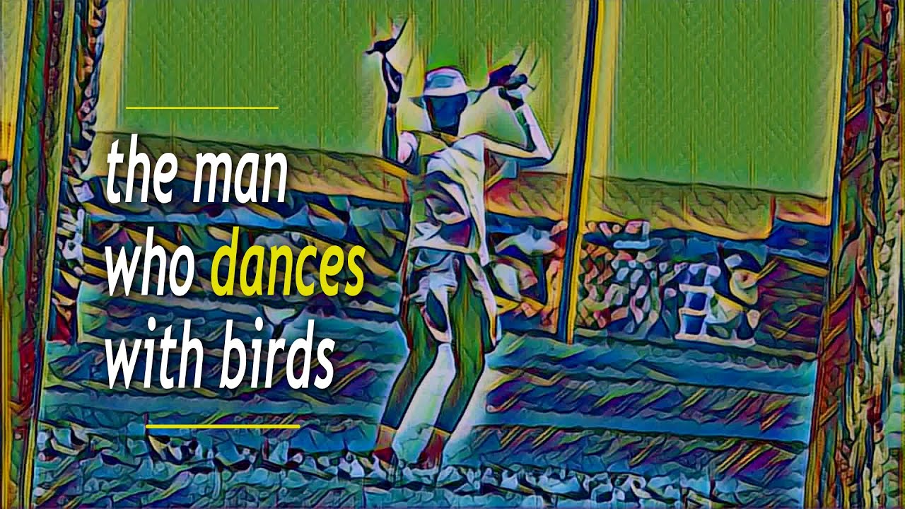 The Man Who Dances with Birds . . . a little walk through one of Hawaii ...
