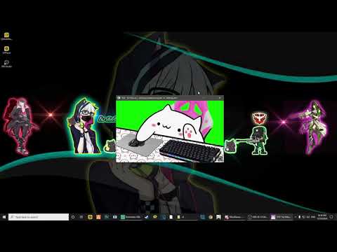แก้Bongo Cat Cam ไม่ขึ้นในOBS | สอน - YouTube