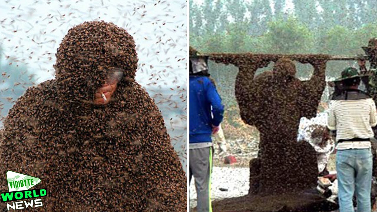 Chinese Lets One Million Bees Swarm over His Body for World Record ...
