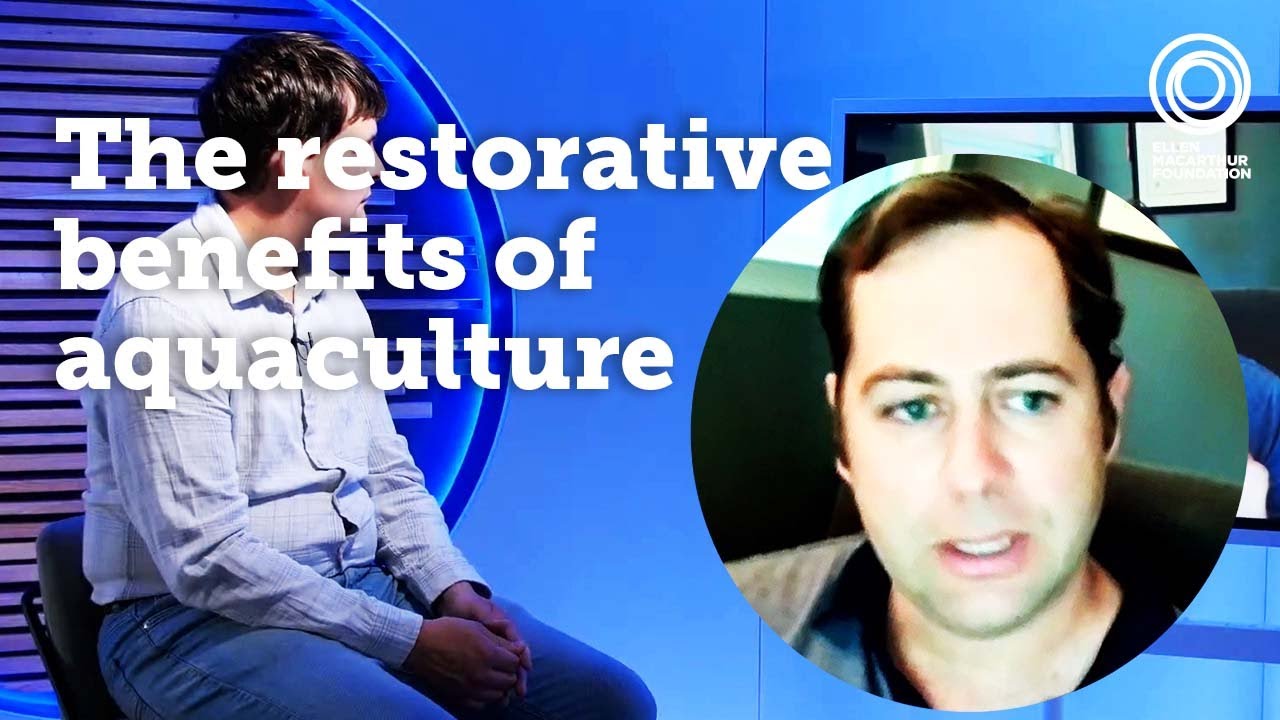 The restorative benefits of aquaculture | The Circular Economy Show ...