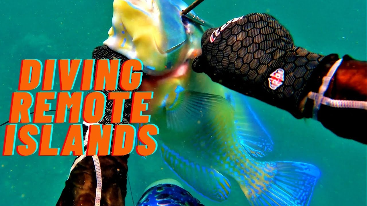 Spearfishing remote coastal islands!! Fish everywhere!! - YouTube