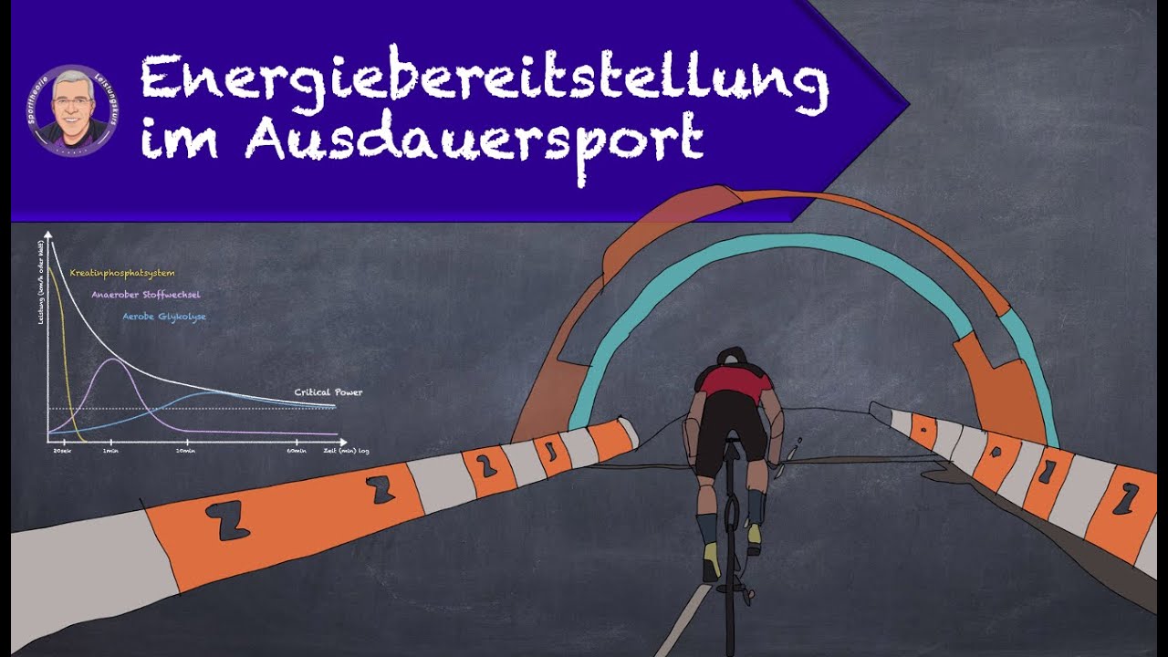 Energiebereitstellung im Ausdauersport - YouTube