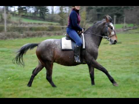 Buck Buckity Buck ; yes it's a bucking horse ! - YouTube