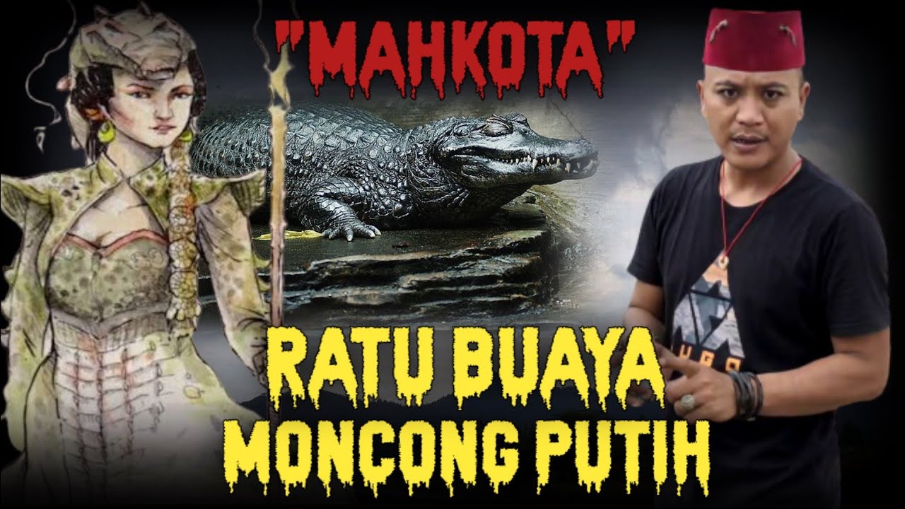 "MAHKOTA" RATU BUAYA..!!! MONCONG PUTIH - YouTube