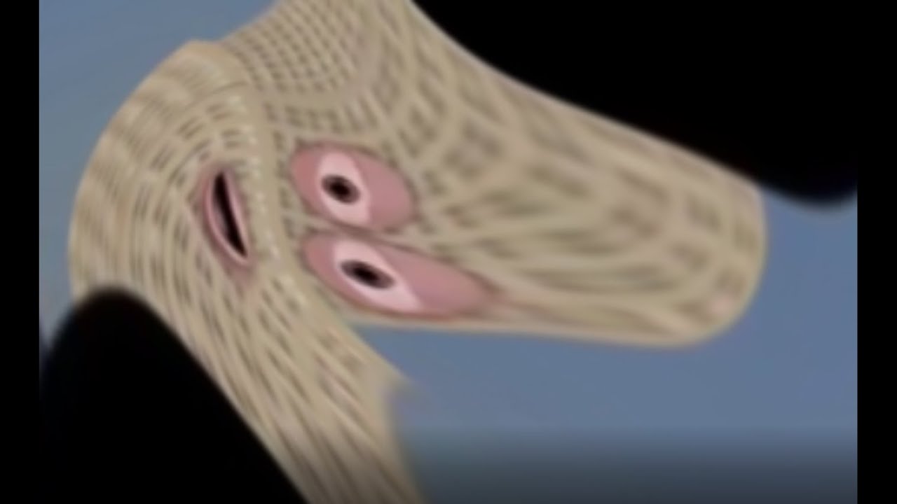 Don't be racist, I Am A Building [TRAP REMIX] - YouTube