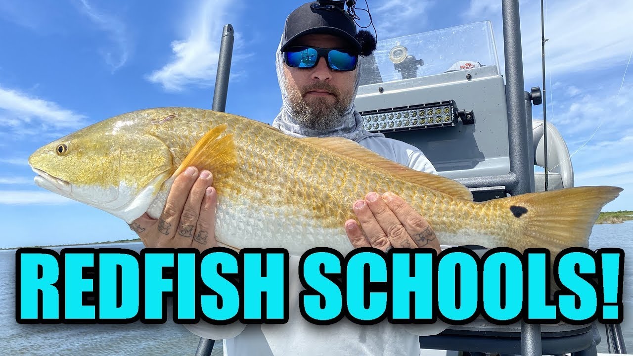 Chasing Huge Redfish Schools with Captain Caleb McCumber! - YouTube