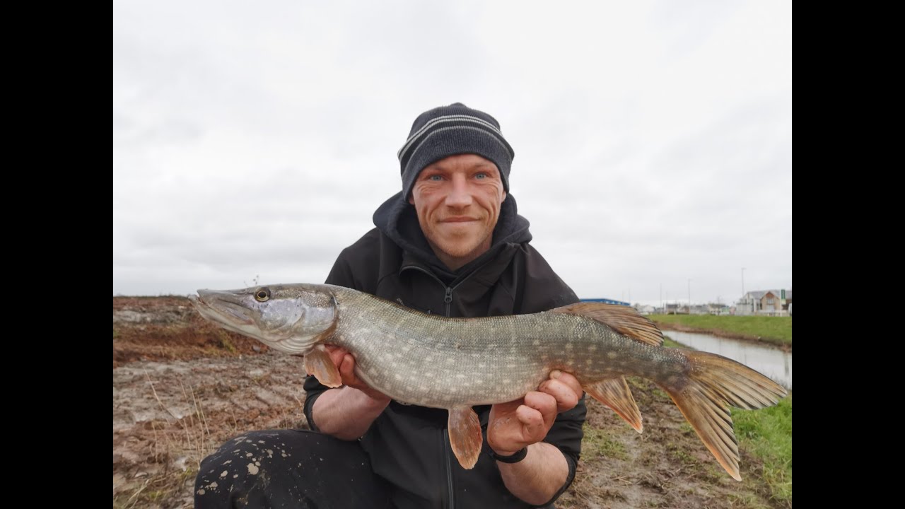 Ditch fishing for pike. During lock down. - YouTube