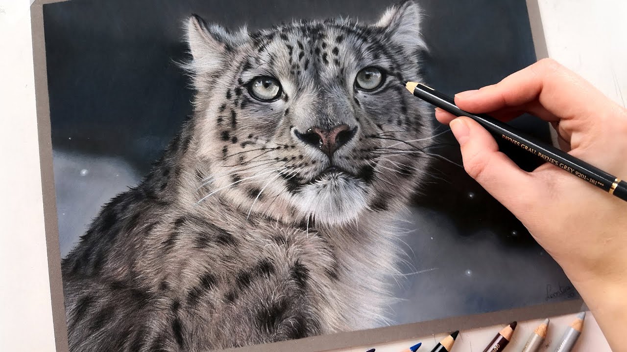 How To Draw FUR With Colored Pencil On PASTELMAT YouTube how-to-draw-fur-with-colored-pencil-on-pastelmat-youtube
