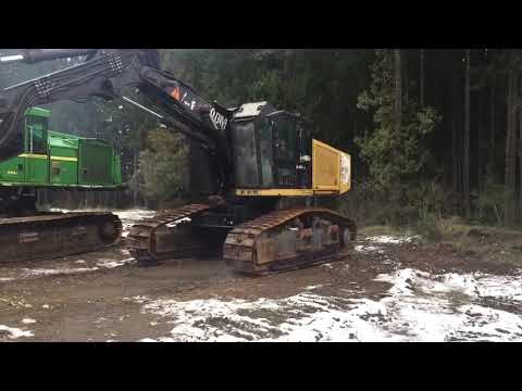 Cat 541 video 3 - YouTube