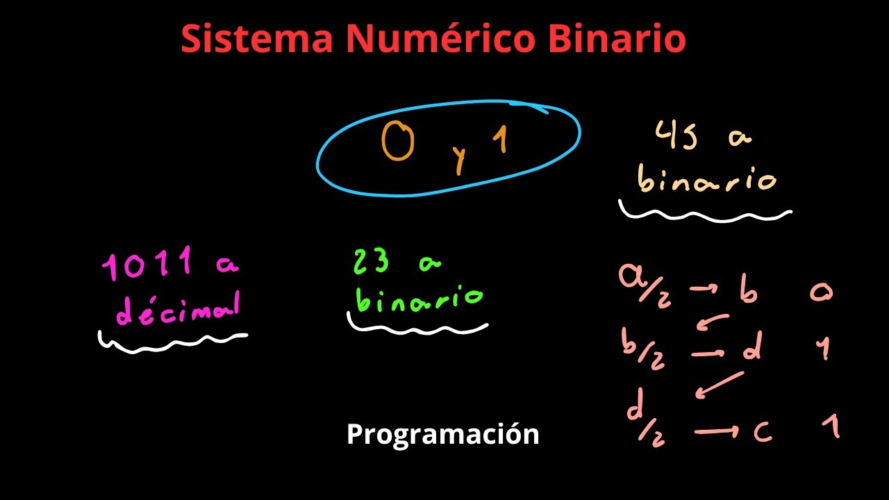 Sistema Numérico Binario con Conversiones | Programación - YouTube