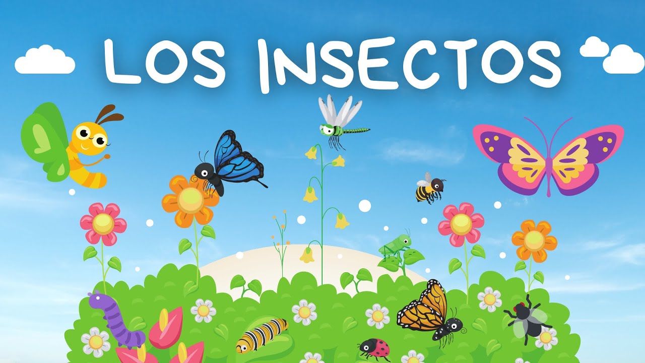 👉Los INSECTOS para niños en Español | Videos Educativos - YouTube