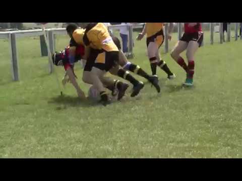 Wesley McGuire - YouTube