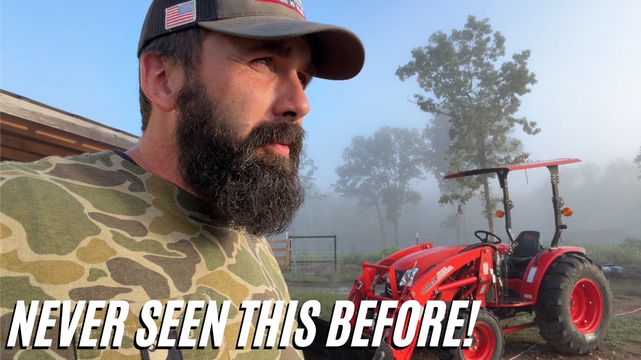 We Woke Up & Found This Rare Phenomenon On Our Farm! - YouTube