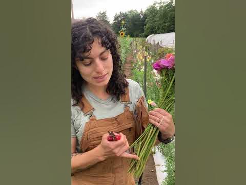 How to Keep Cut Flowers Fresh and Vibrant - YouTube