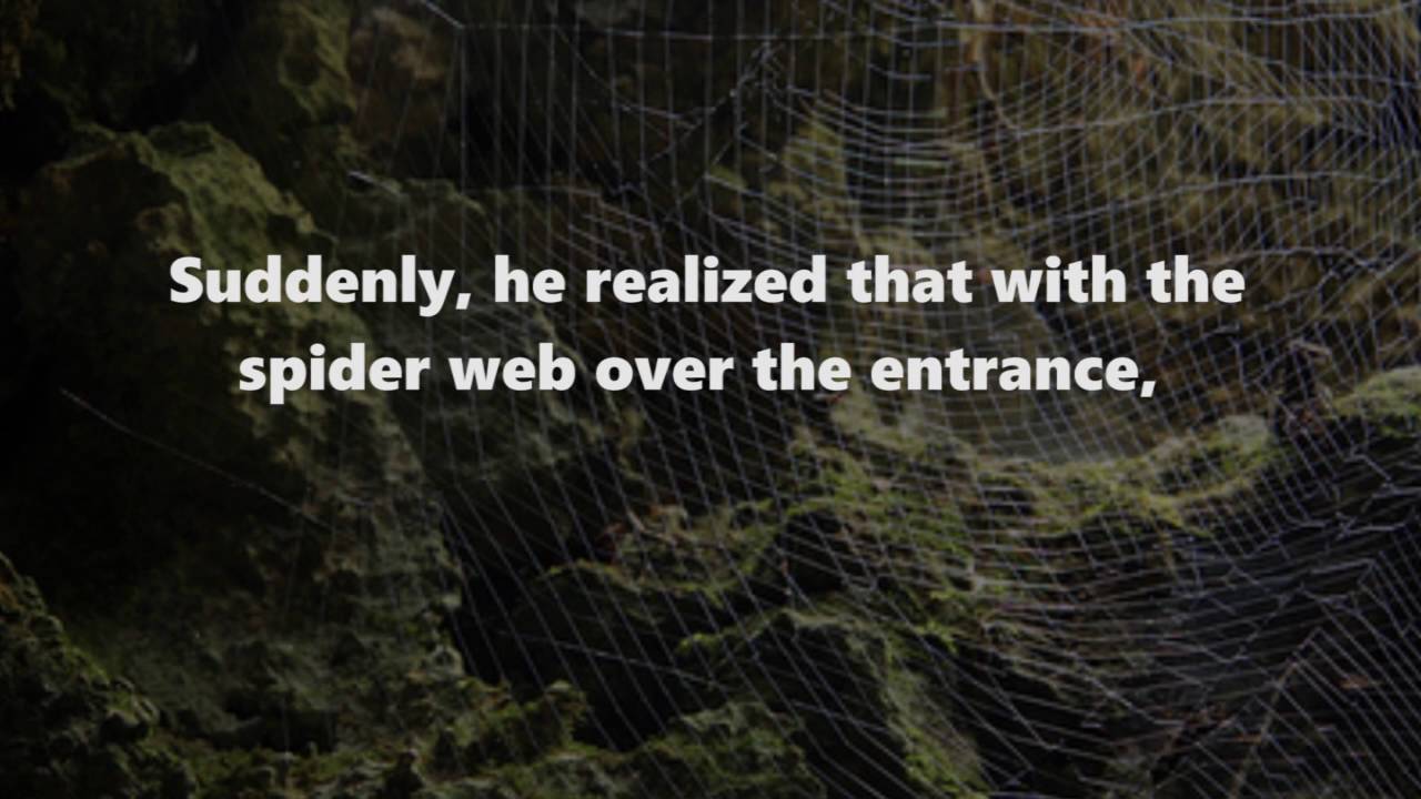 God and Spider's web - YouTube