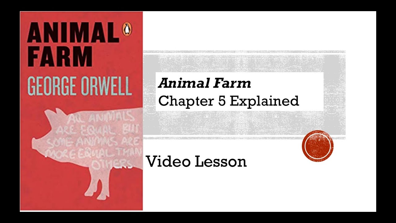 Animal Farm by George Orwell: Chapter Five Explained - YouTube