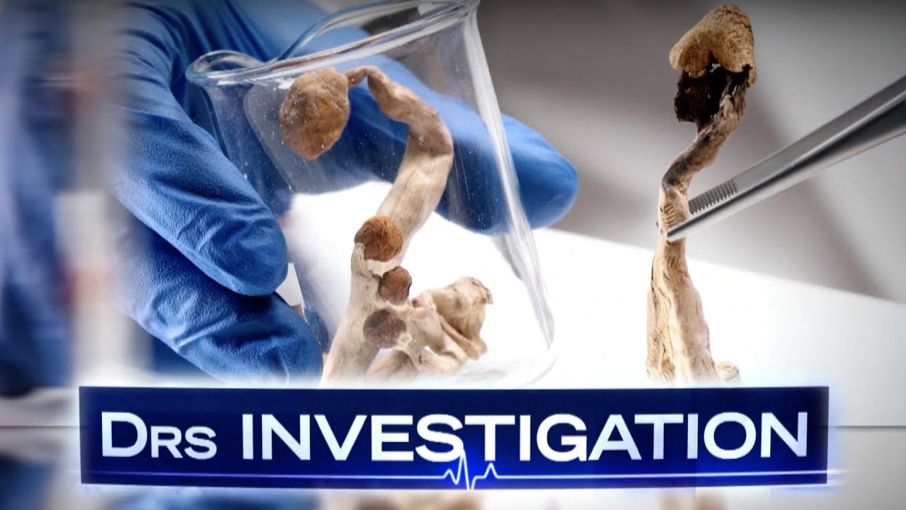 The Doctors: November 2021 - YouTube