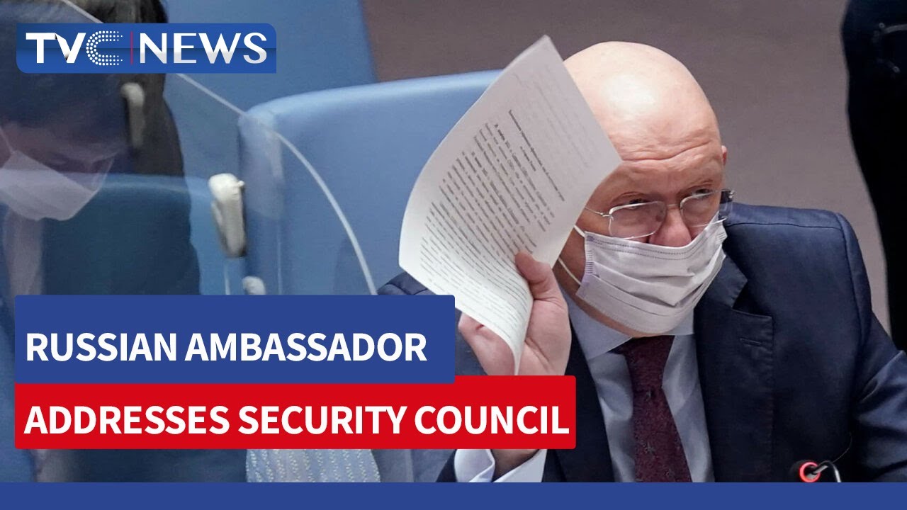 Russian Ambassador Addresses Security Council - YouTube
