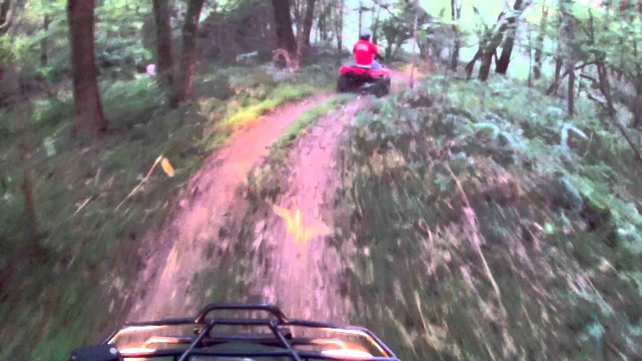 1995 Fourtrax Honda 200 type II - YouTube